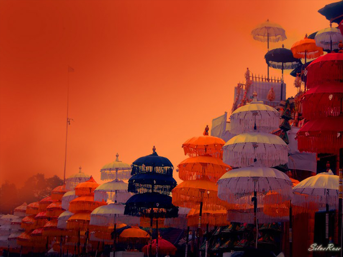 Silver Rose - Online Store