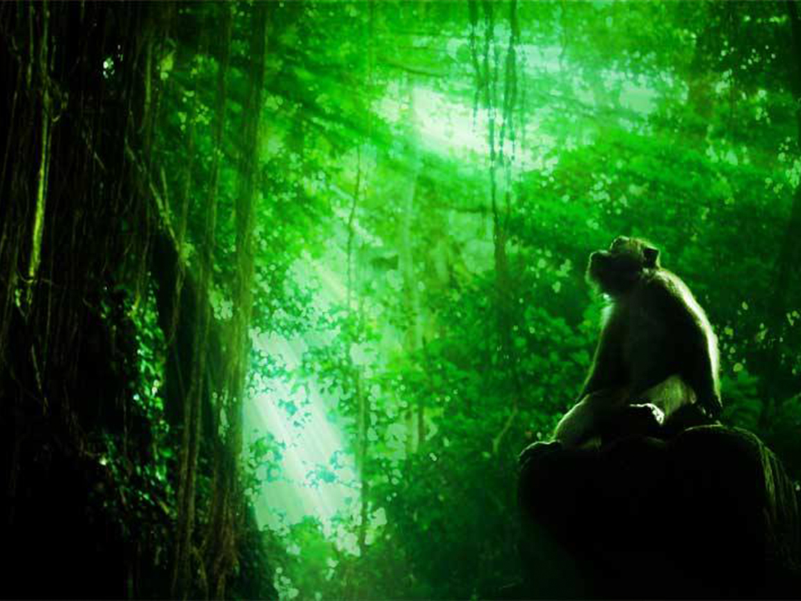 Silver Rose - Online Store